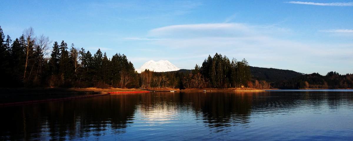 LGA 1700 CPU List - Which Intel CPUs Use the LGA 1700 Socket?